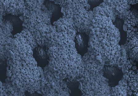 Symposium Additive Manufacturing of Energy Materials